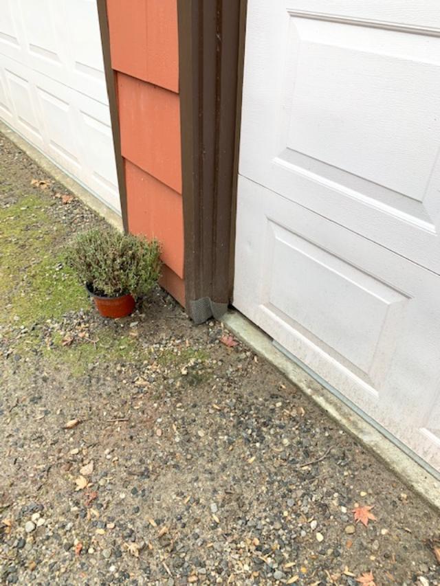 mouse entrance - Envirocare Pest Control