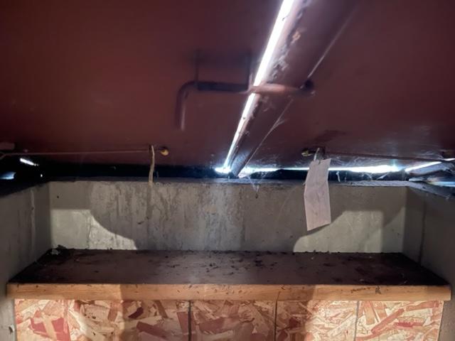 Basement hatch door problems and mice - Envirocare Pest Control